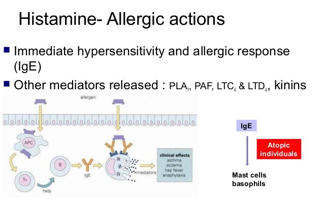 Histamines antihistamines1 adi