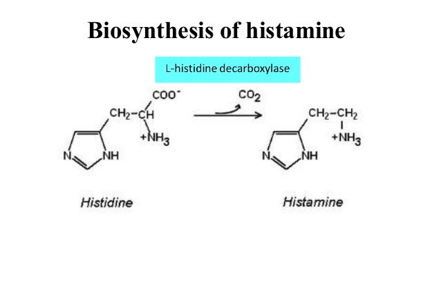 Histamines antihistamines1 adi