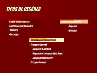 histerectomia obstetrica. TIPOS CAUSAS CLASE | PDF