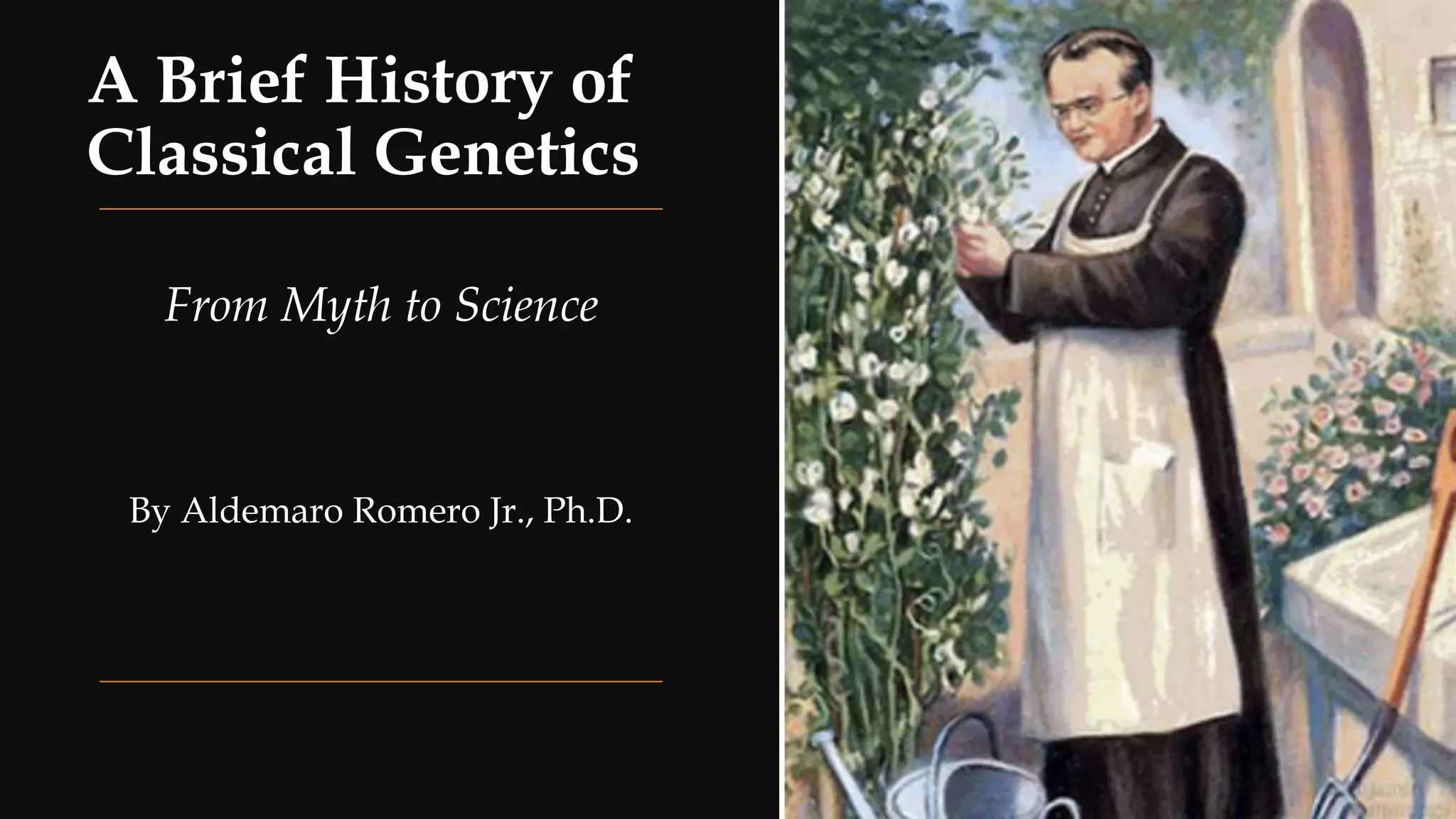 A Brief History of Classical Genetics | PPTX