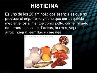 Histidinas | PPTX