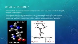 Histidine | PPTX