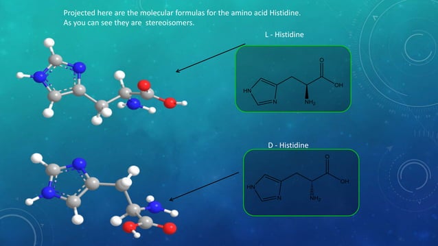 Histidine | PPTX | Nutrition | Healthy Living