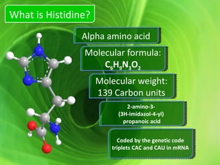 Histidine | PPT