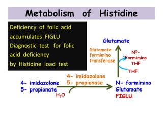 Histidine metabolism | PPTX