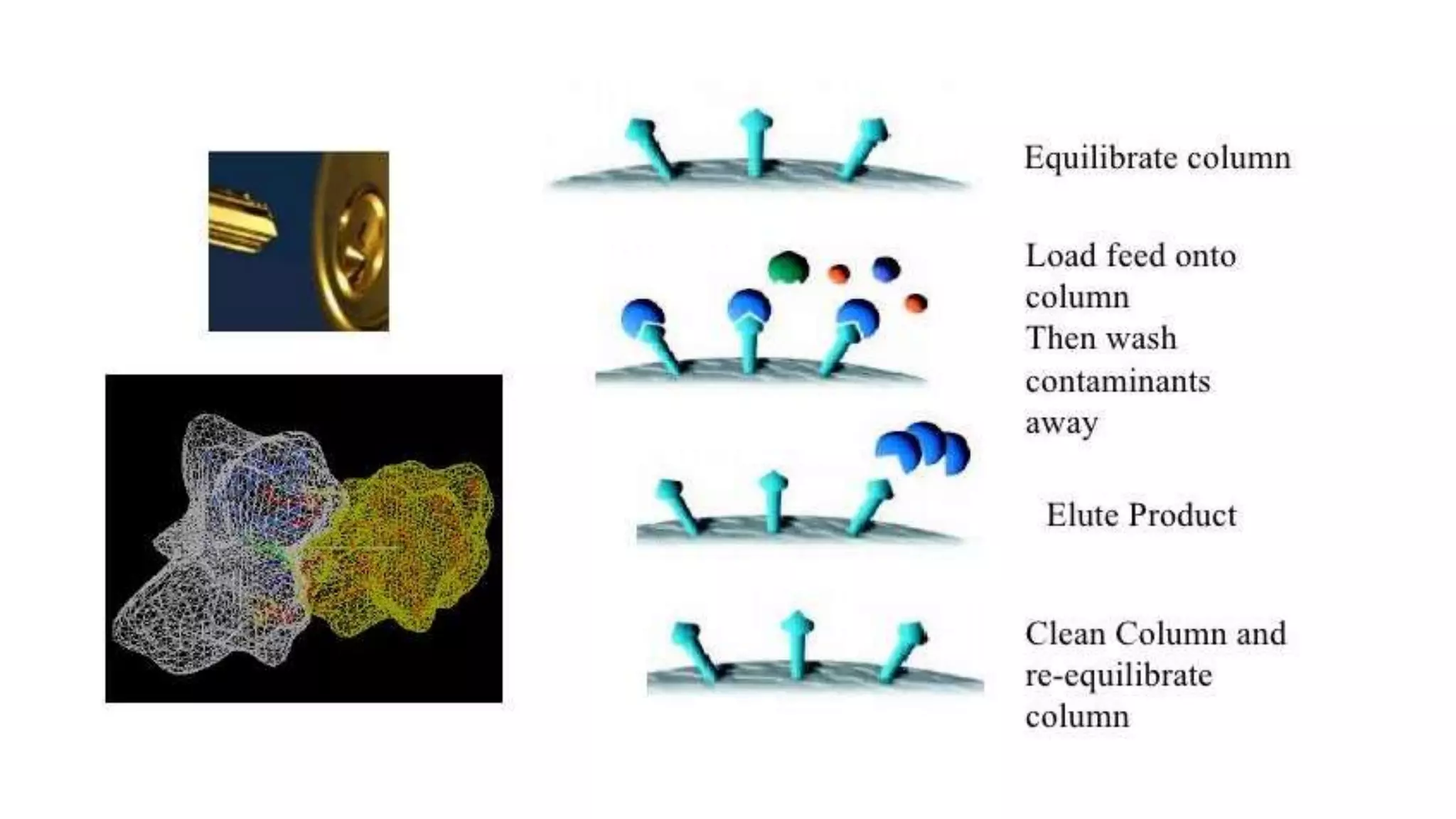 Affinity Chromatography | Histidine Nickel Affinity Column | PPTX