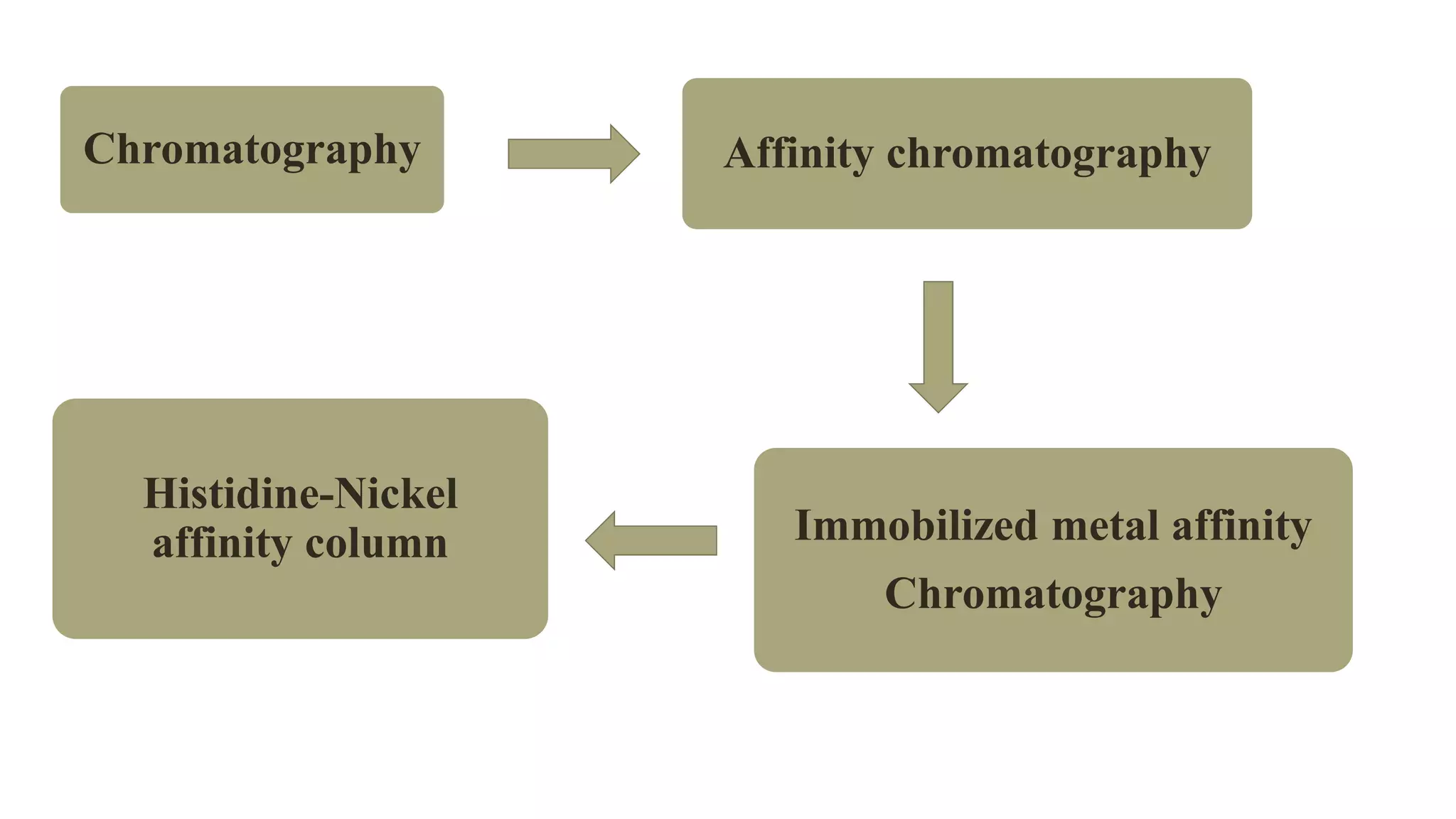 Affinity Chromatography | Histidine Nickel Affinity Column | PPTX