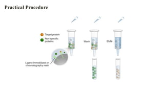 Affinity Chromatography | Histidine Nickel Affinity Column | PPTX
