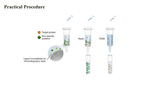 Affinity Chromatography | Histidine Nickel Affinity Column | PPTX