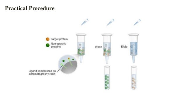 Affinity Chromatography | Histidine Nickel Affinity Column