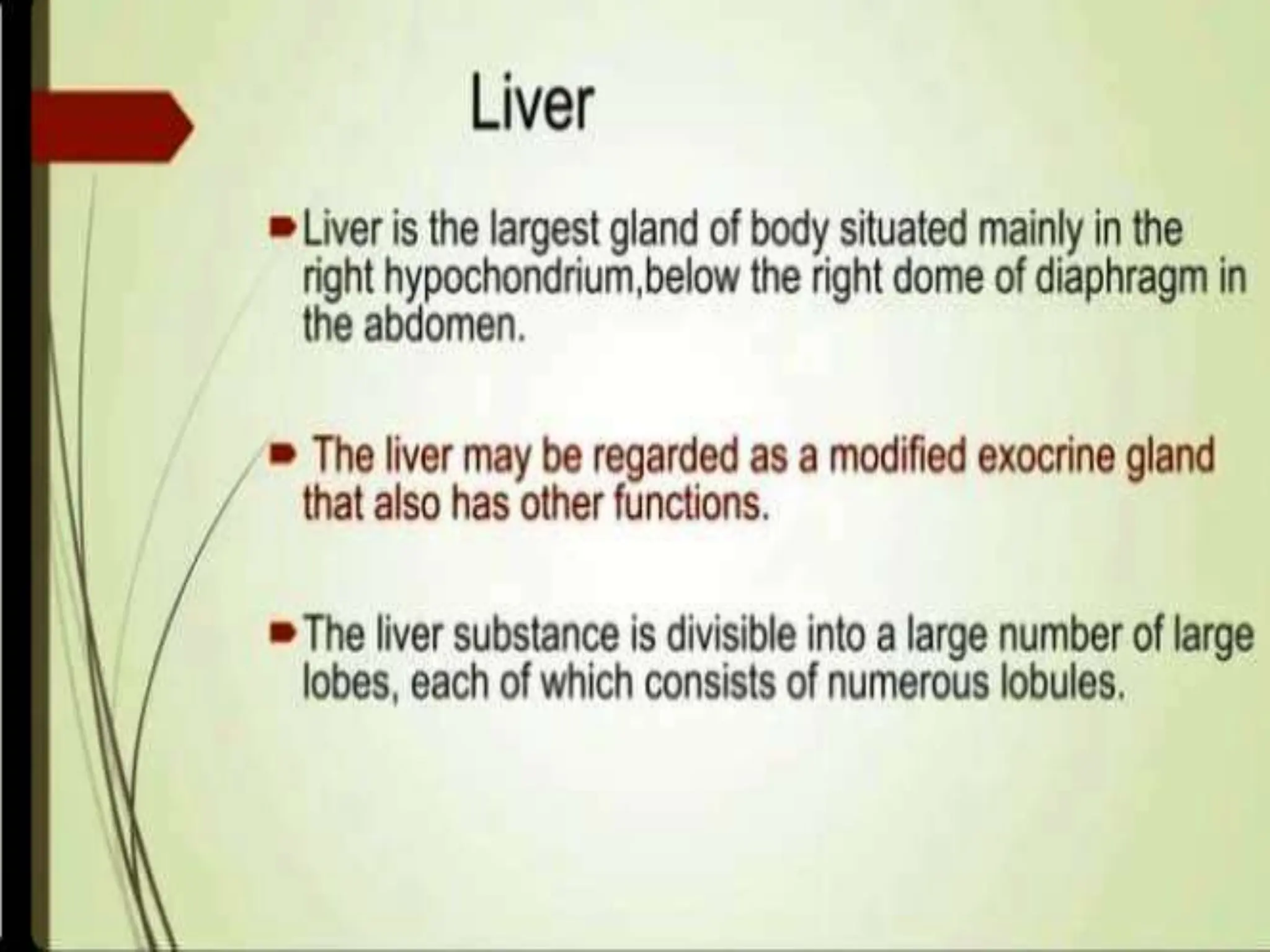 Histlogy of Liver.pptx