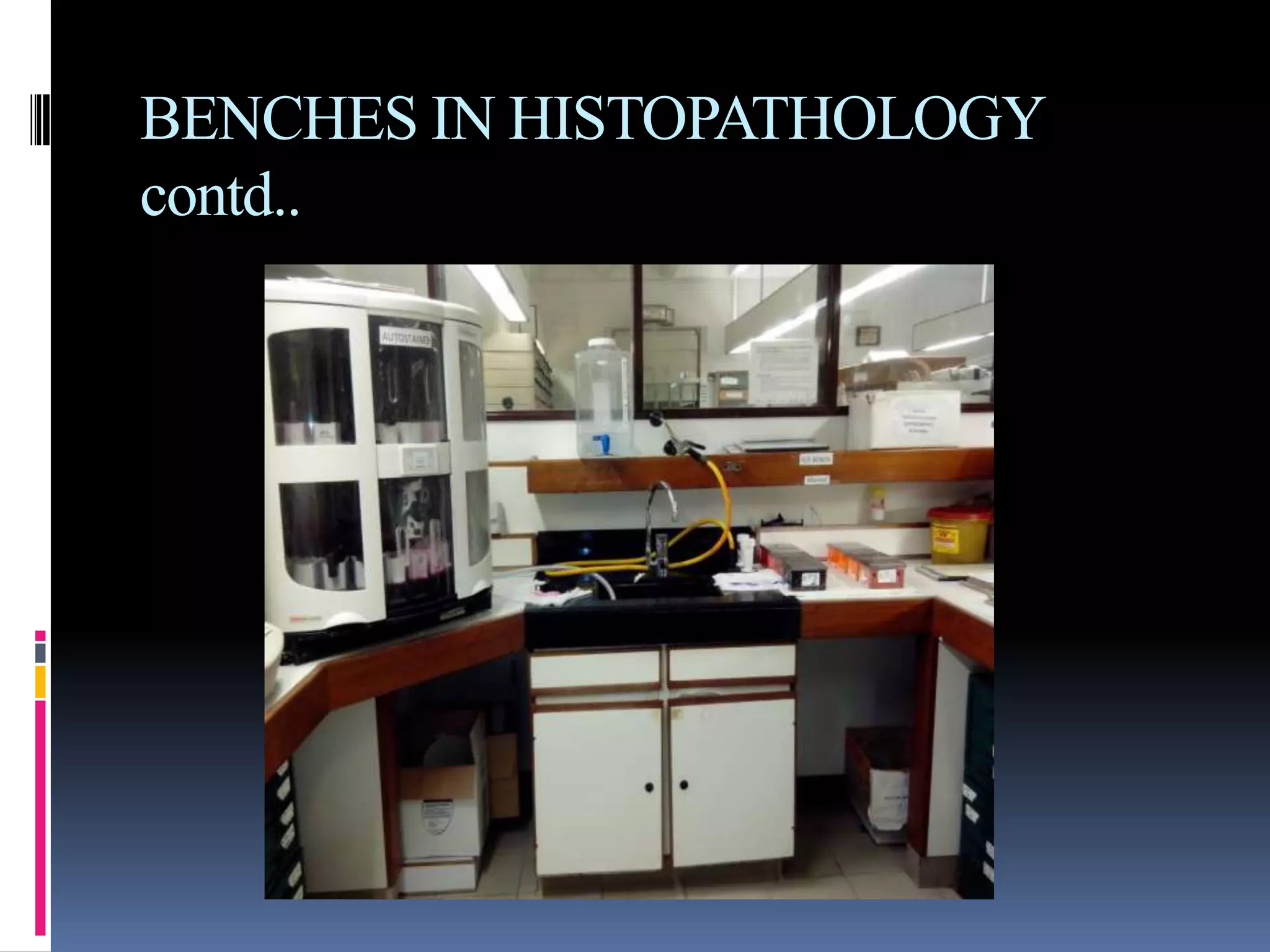 HistoPATHOLOGY | PPTX