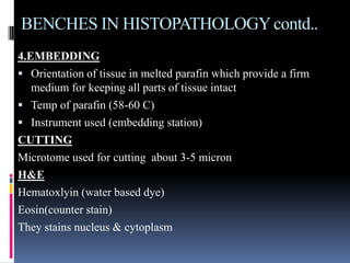 HistoPATHOLOGY | PPTX