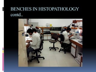 HistoPATHOLOGY | PPTX