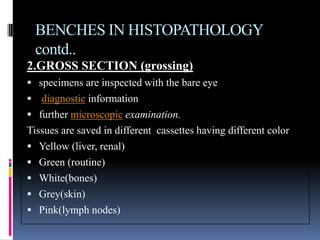 HistoPATHOLOGY | PPTX