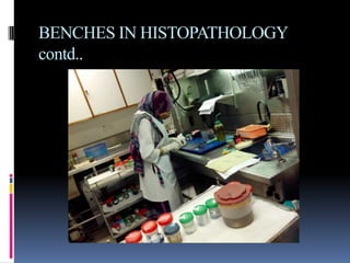 HistoPATHOLOGY | PPTX