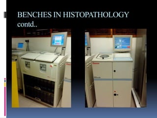HistoPATHOLOGY | PPTX