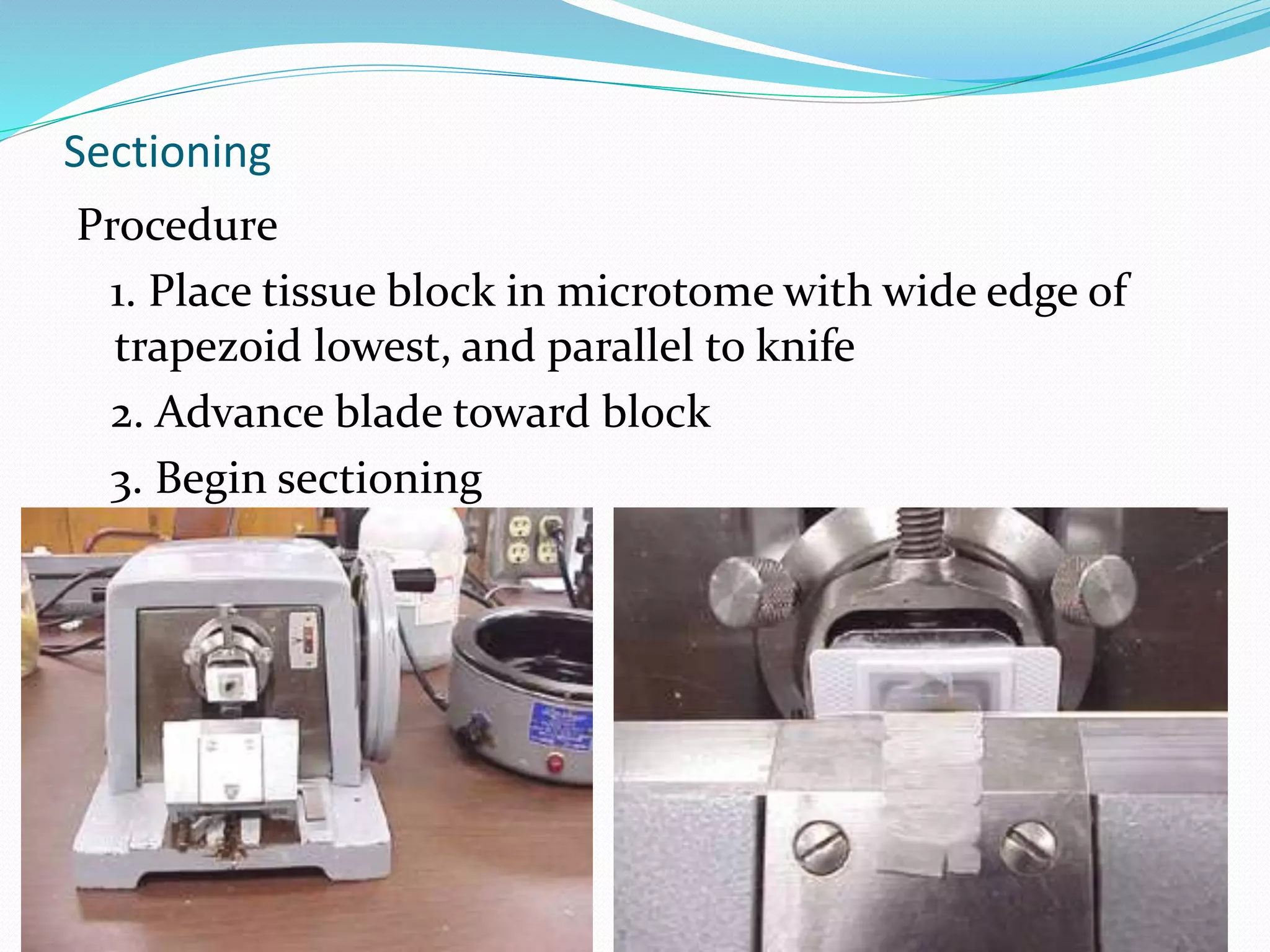 Tissue Preparation Histology | PPTX