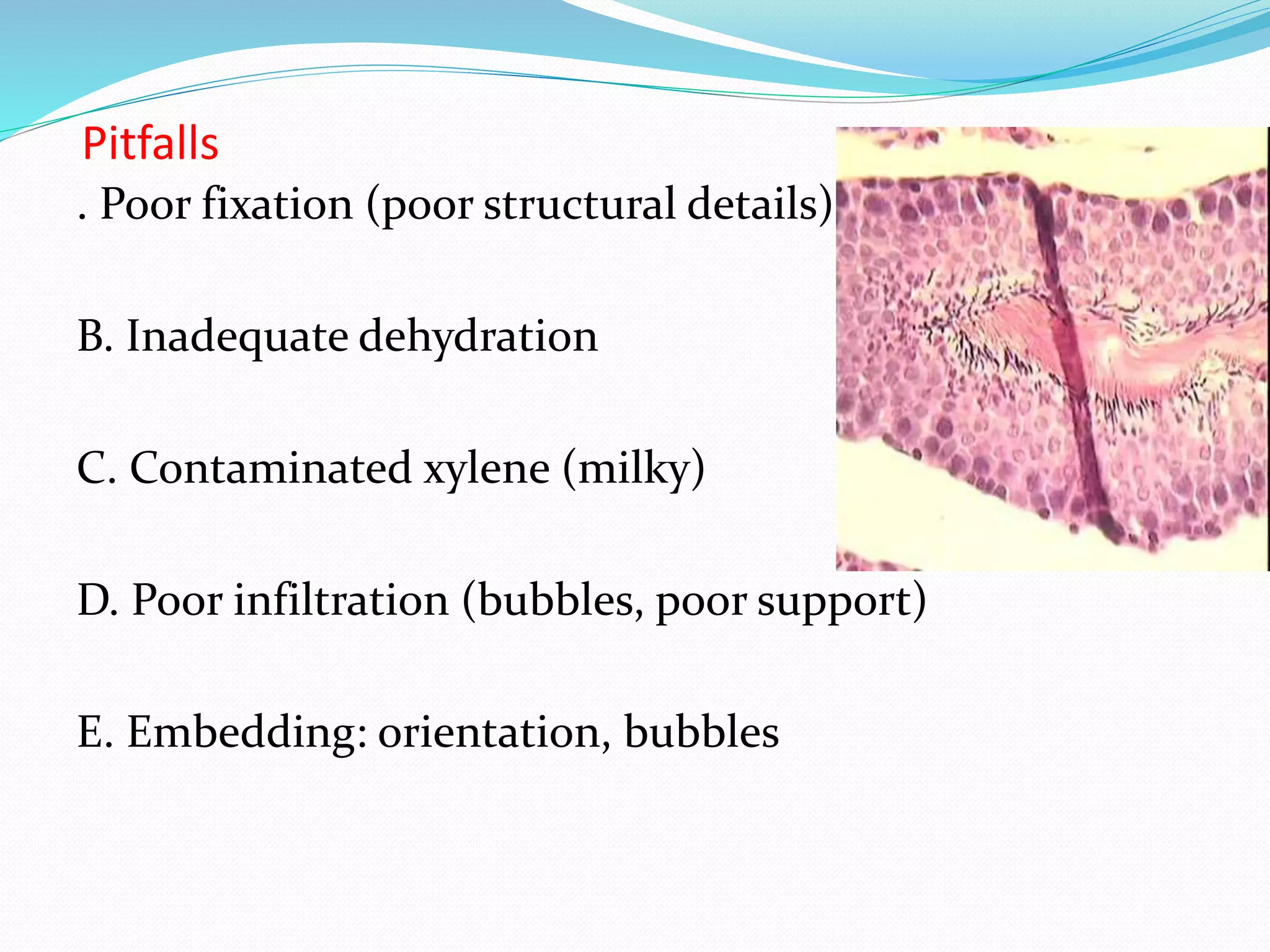 Tissue Preparation Histology | PPTX