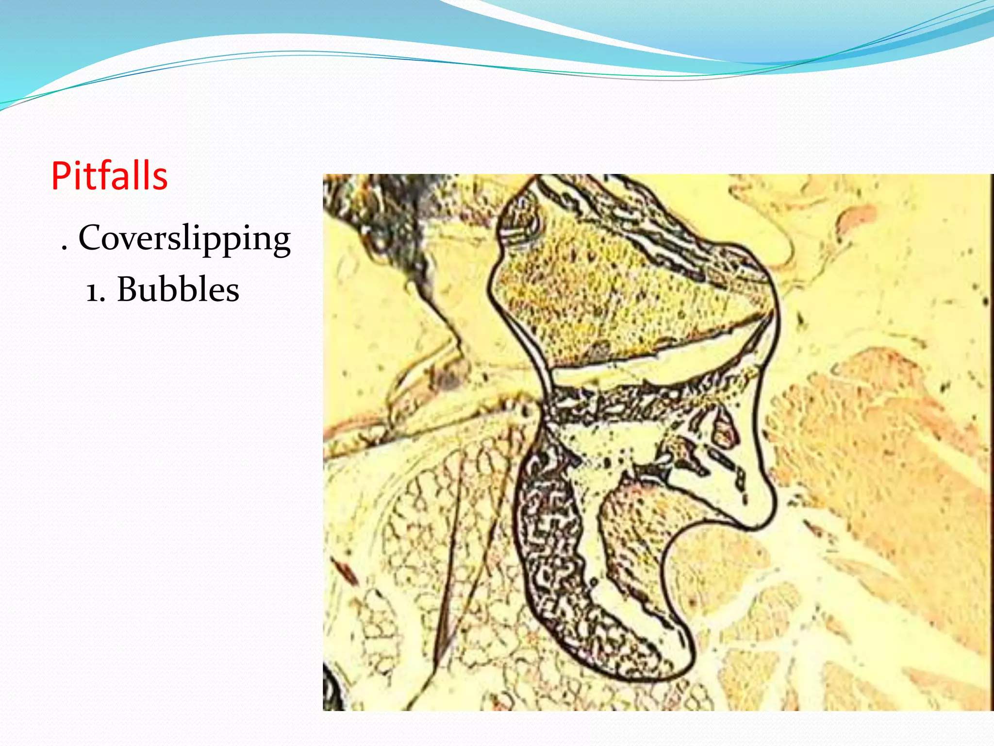 Tissue Preparation Histology | PPTX