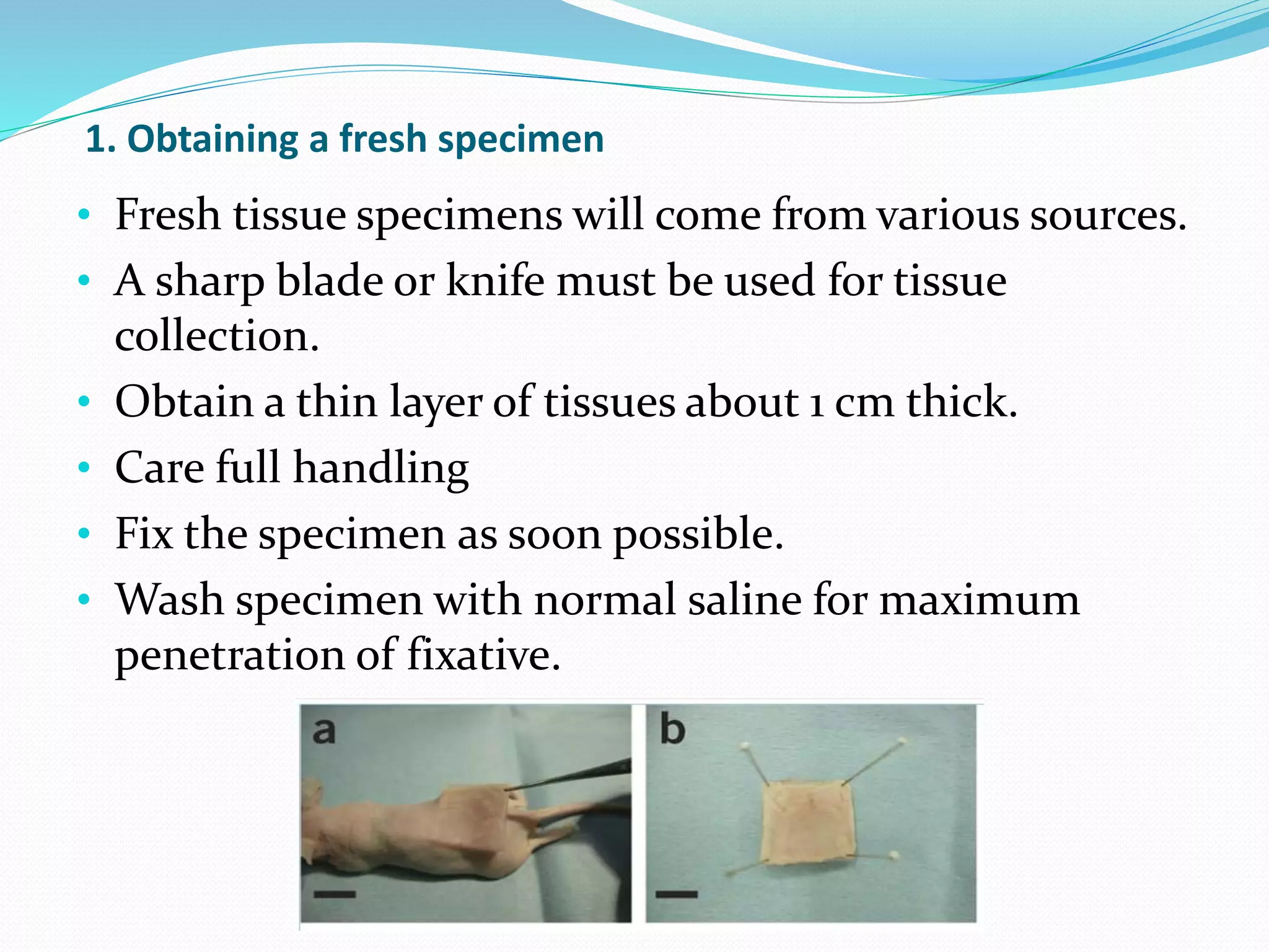 Tissue Preparation Histology | PPTX