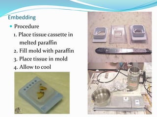 Tissue Preparation Histology | PPTX