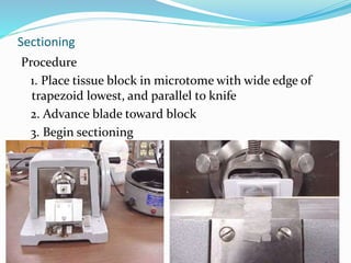 Tissue Preparation Histology | PPTX