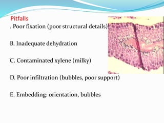 Tissue Preparation Histology | PPTX