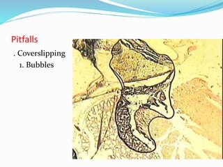 Tissue Preparation Histology | PPTX