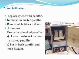 Tissue Preparation Histology | PPTX