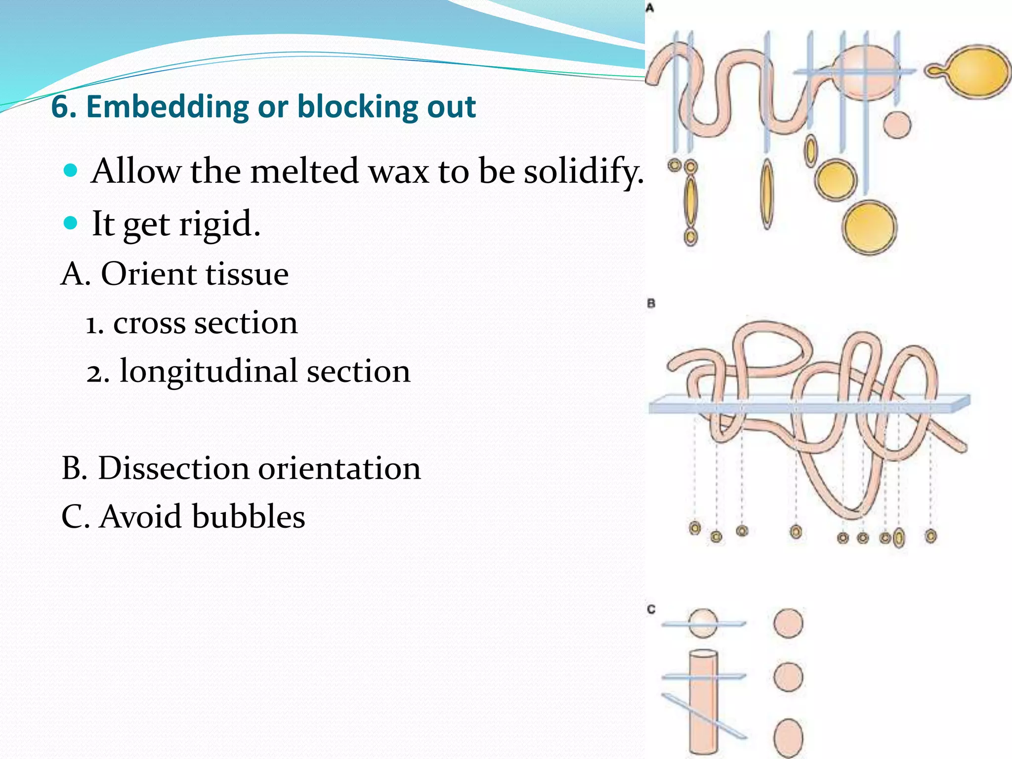 Tissue Preparation Histology | PPTX