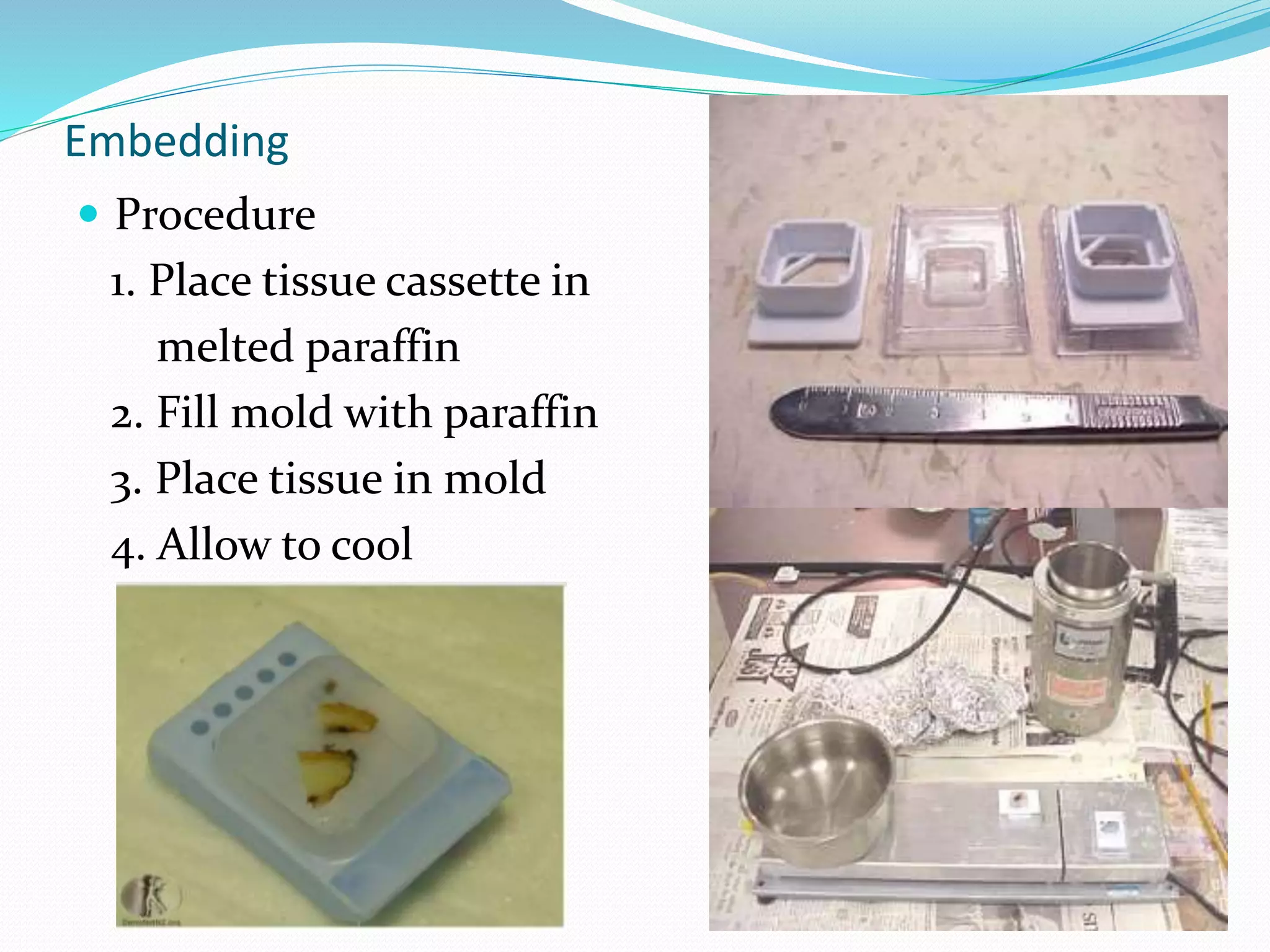 Tissue Preparation Histology | PPTX