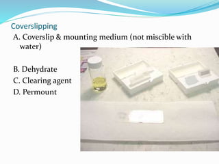 Tissue Preparation Histology | PPTX