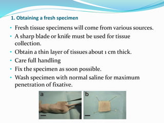 Tissue Preparation Histology | PPTX