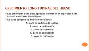 tejido óseo - histologia | PPTX