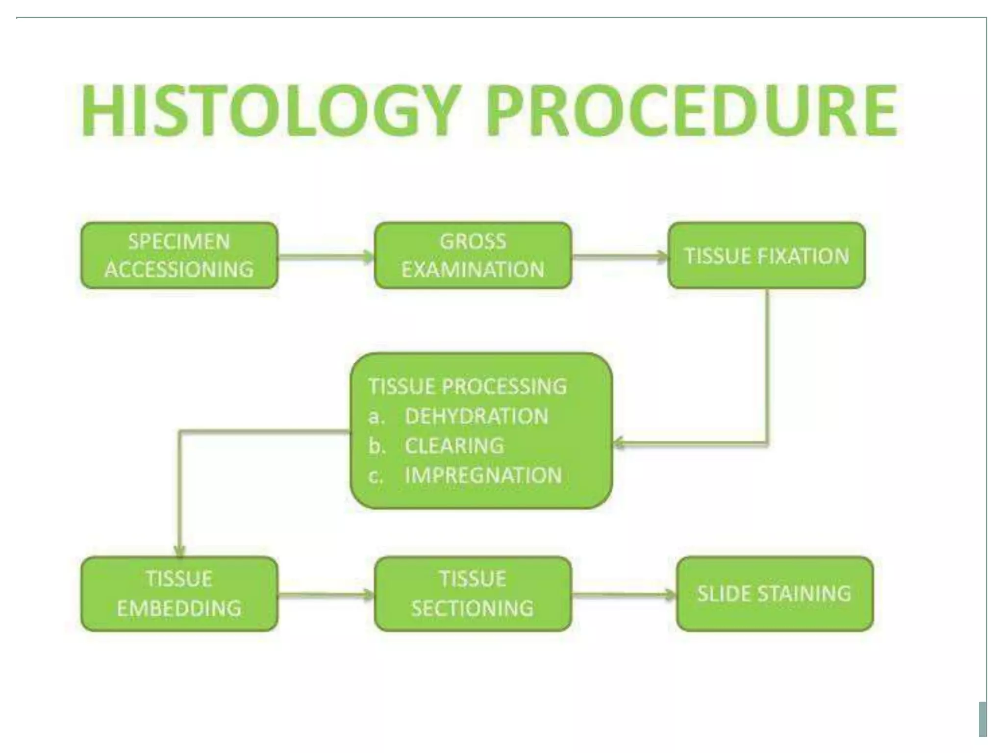 Technique of Histopathology | PPTX