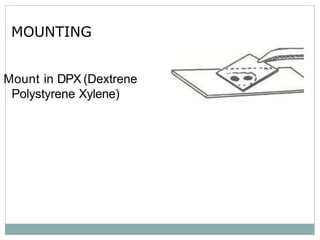 Technique of Histopathology | PPTX