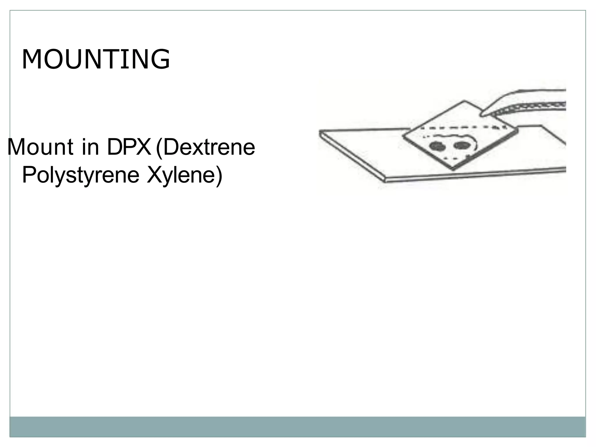 Technique of Histopathology | PPTX