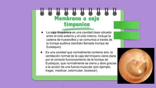 Aparato Visual y Auditivo-Histología.pptx