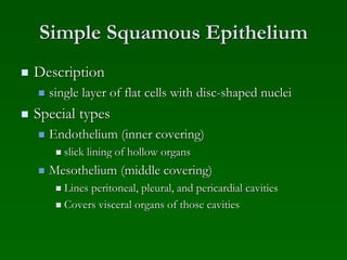 Histology basics of sciences and microanatomy.pdf