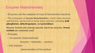 Histochemistry | PPTX