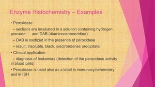 Histochemistry | PPTX