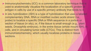 Histochemistry | PPTX