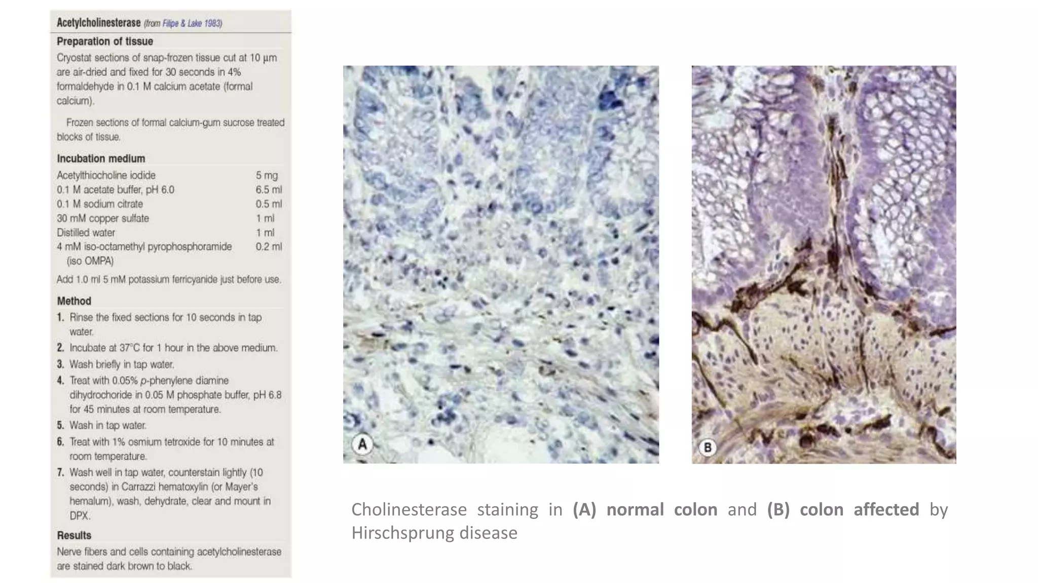 Histochemistry | PPTX