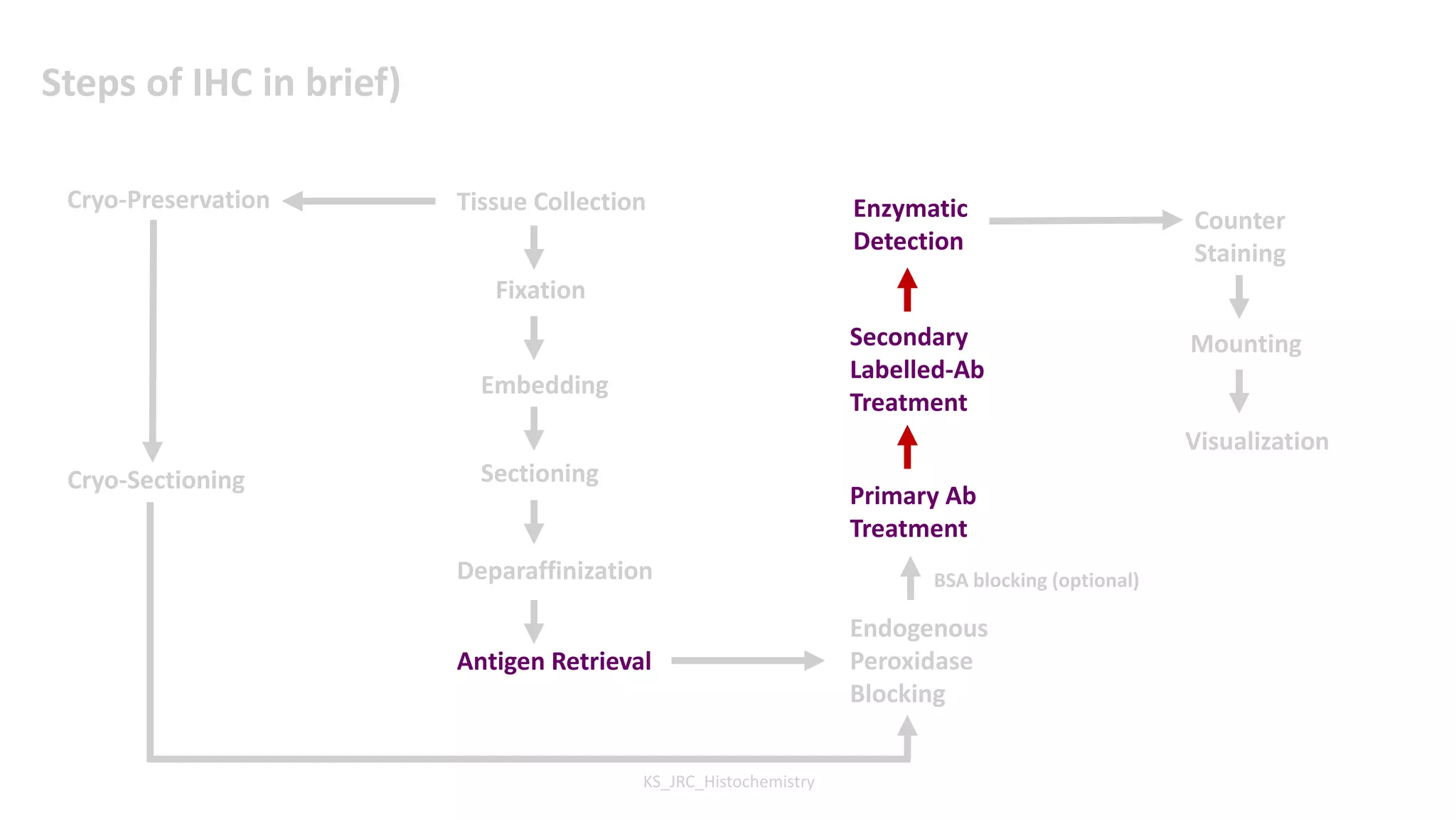 Histochemistry | PPTX