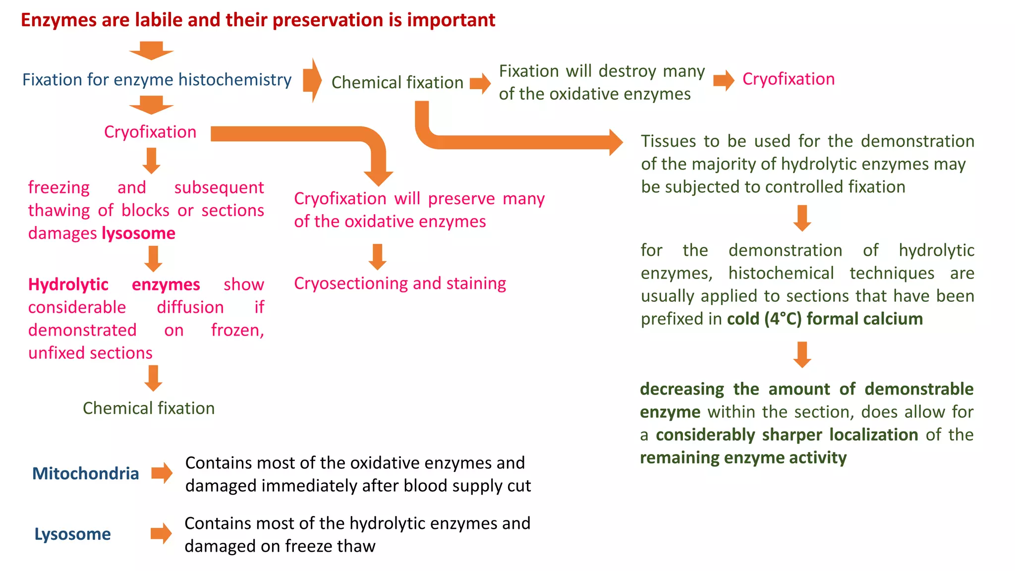 Histochemistry | PPTX