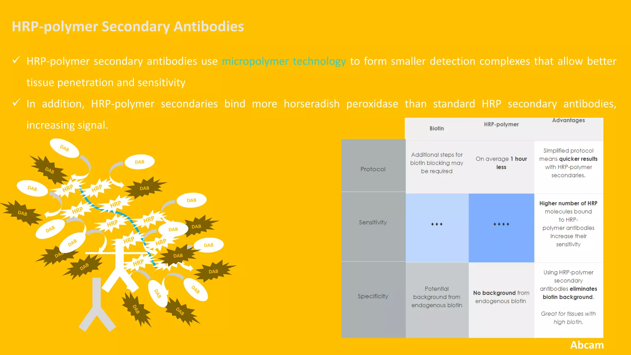 Histochemistry | PPTX