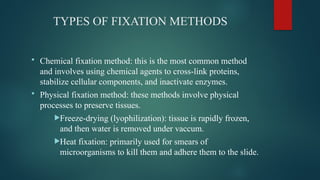 Lectures slide for the HISTOCHEMISTRY.pptx