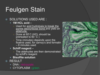 Histochemistry in Pathology | PPTX