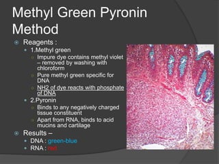 Histochemistry in Pathology | PPTX